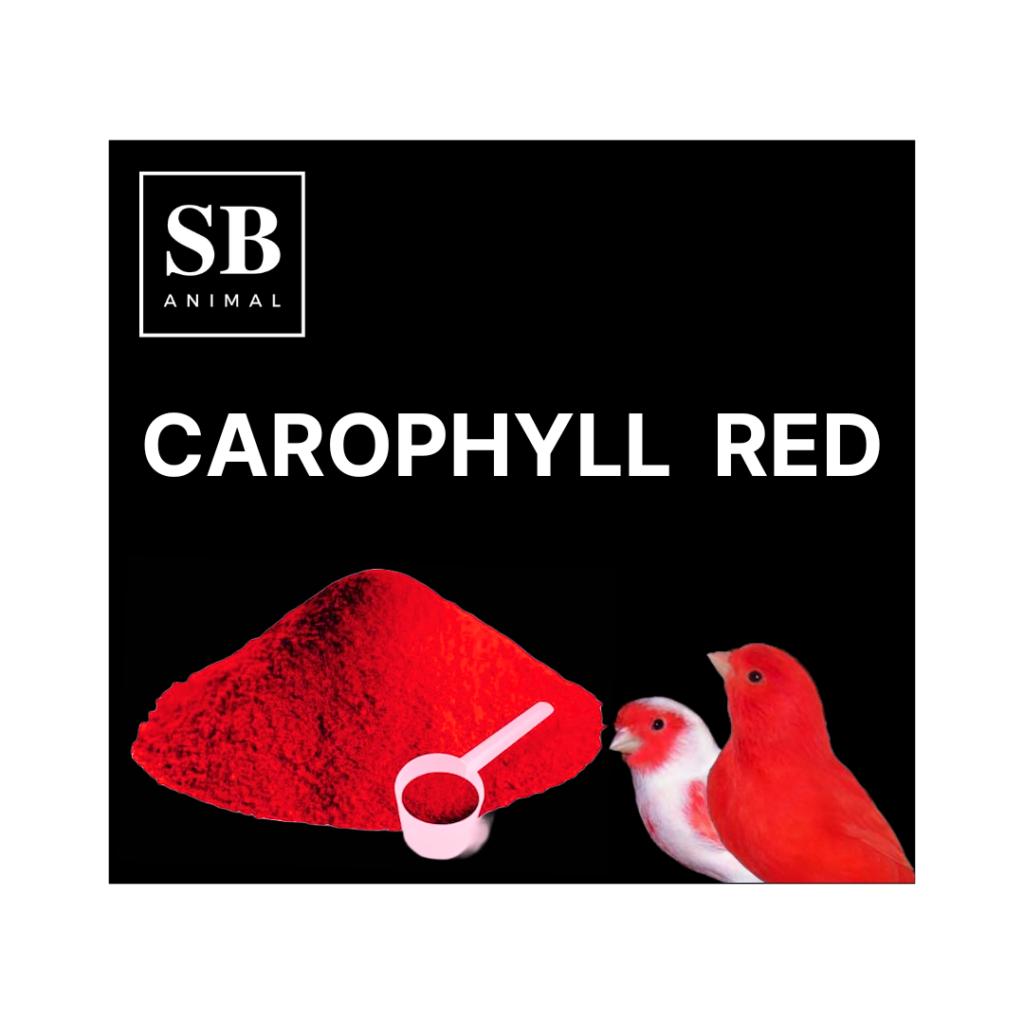 CAROFIL ROJO DSM – SB ANIMAL